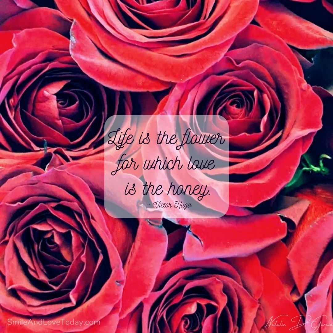 Life Is The Flower - Smile And Love Today